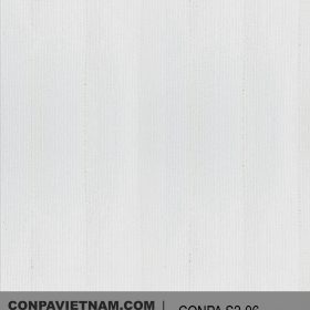 CONPA S2-02
